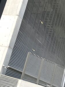 Louvers, efficient elements of solar control and ventilation – Simpleyfácil